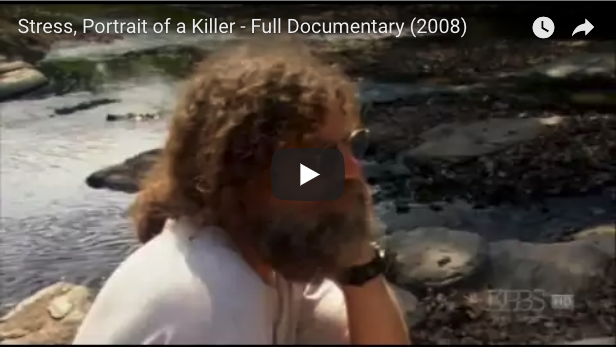 Stress: Portrait of a killer – Kagyu Pende Gyamtso